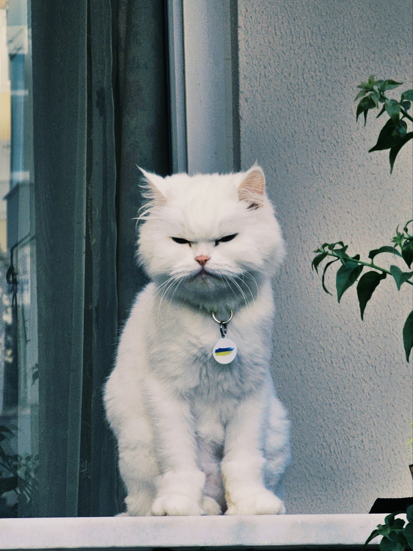 ahmad (@Ahmad) / MemeX