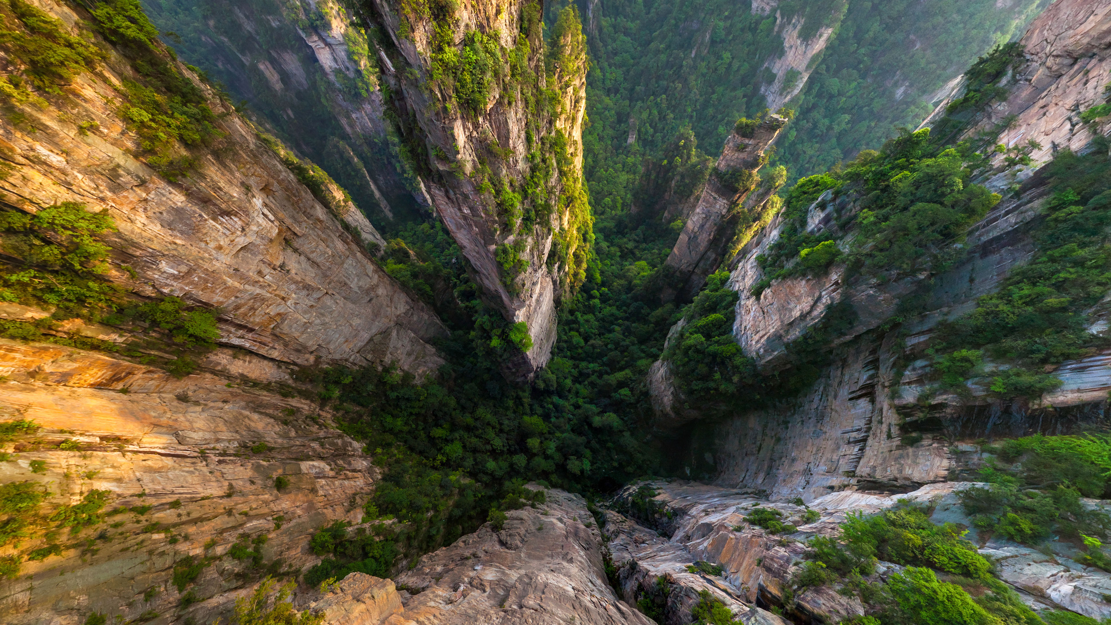 btc101 (@Carter) / MemeX